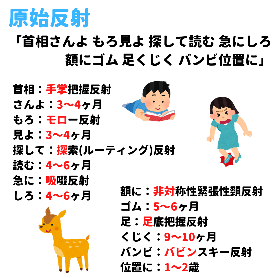原始反射 手掌把握反射 モロー反射 探索ルーティング反射 吸啜反射 非対称性緊張性頸反射 バビンスキー反射 覚え方 語呂合わせ｜＊看護国試