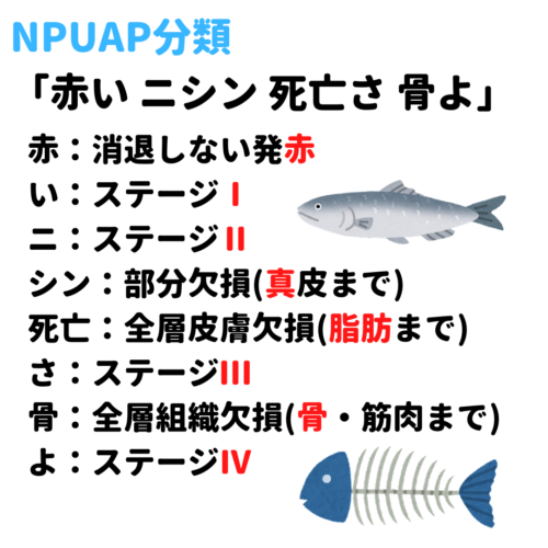 NPUAP分類 覚え方 語呂合わせ｜＊看護国試ゴロ＊看護師国家試験対策 絶対合格するぞ！