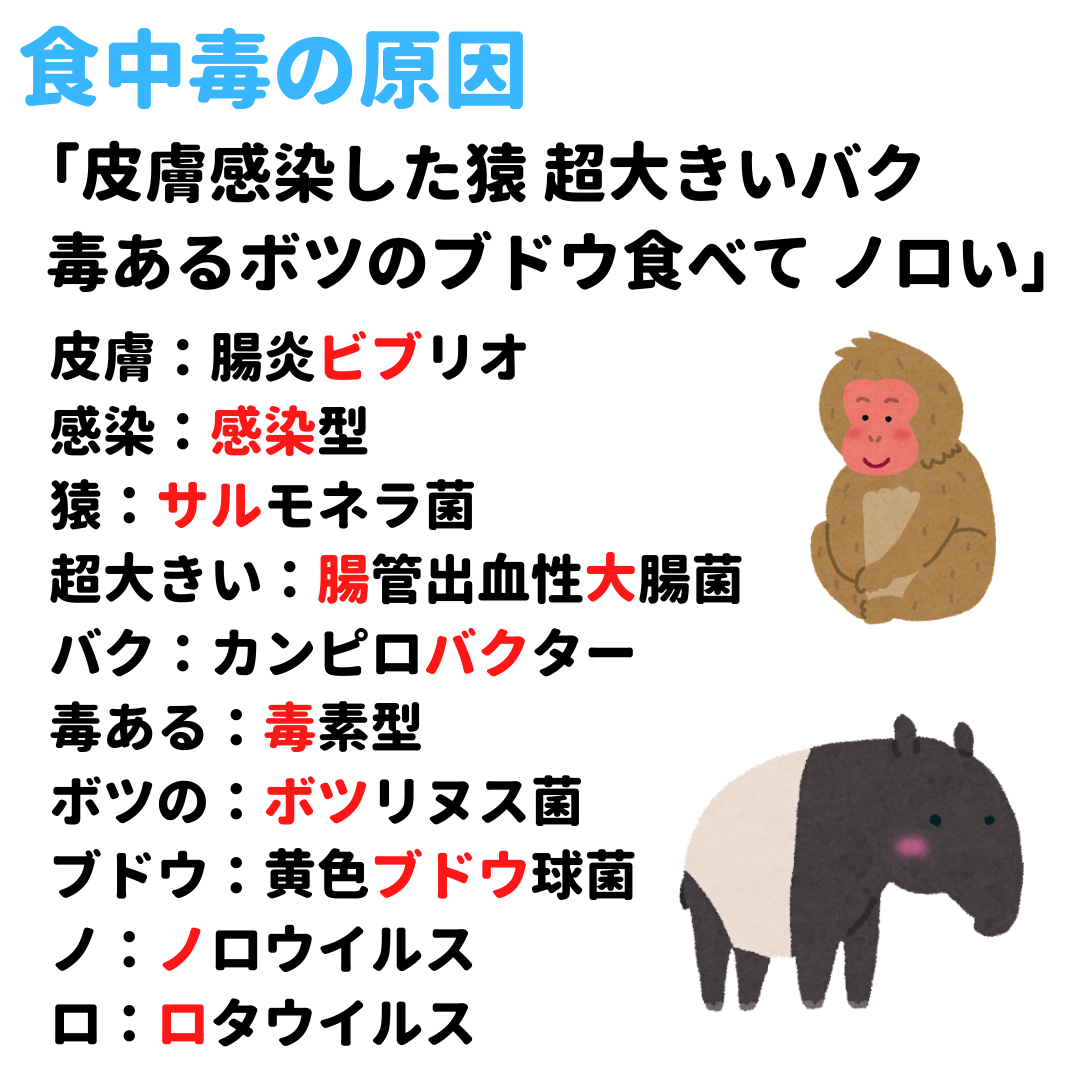 食中毒の原因 細菌性 ウイルス性 覚え方 語呂合わせ｜＊看護国試ゴロ＊看護師国家試験対策 絶対合格するぞ！