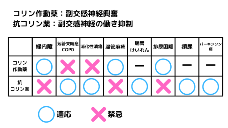 コリン作動薬と抗コリン薬 覚え方 語呂合わせ|*看護国試ゴロ*看護師国家試験対策 絶対合格するぞ!