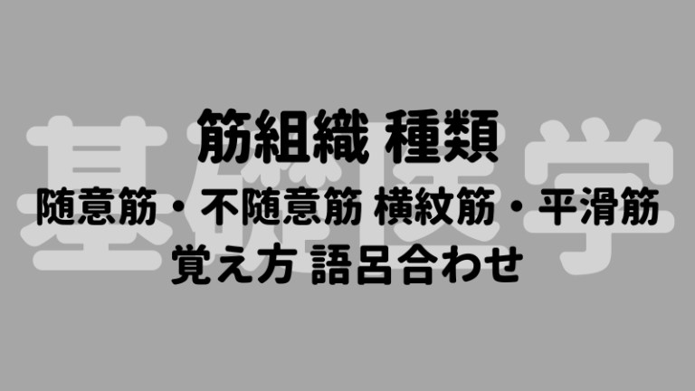 筋組織 随意筋・不随意筋 横紋筋・平滑筋 種類 覚え方 語呂合わせ｜＊看護国試ゴロ＊看護師国家試験対策 絶対合格するぞ！