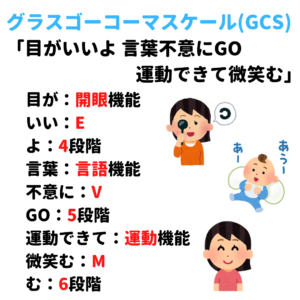 グラスゴーコーマスケール(GCS) 覚え方 語呂合わせ｜＊看護国試ゴロ＊看護師国家試験対策 絶対合格するぞ！
