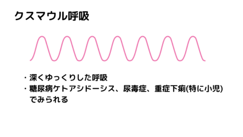 異常呼吸 クスマウル呼吸 チェーンストークス呼吸 ビオー呼吸 覚え方 語呂合わせ｜＊看護国試ゴロ＊看護師国家試験対策 絶対合格するぞ！