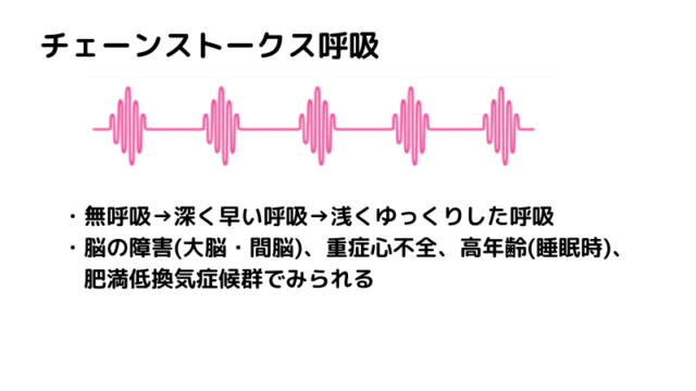 異常呼吸 クスマウル呼吸 チェーンストークス呼吸 ビオー呼吸 覚え方 語呂合わせ｜＊看護国試ゴロ＊看護師国家試験対策 絶対合格するぞ！